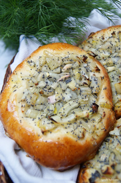 ogrody babilonu: cebularz lubelski