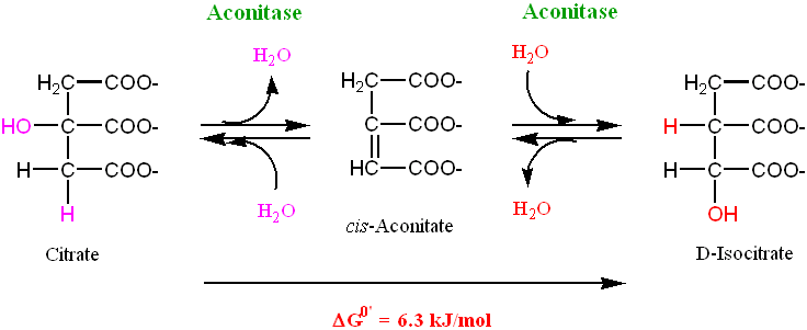 World of Biochemistry (blog about biochemistry): April 2012