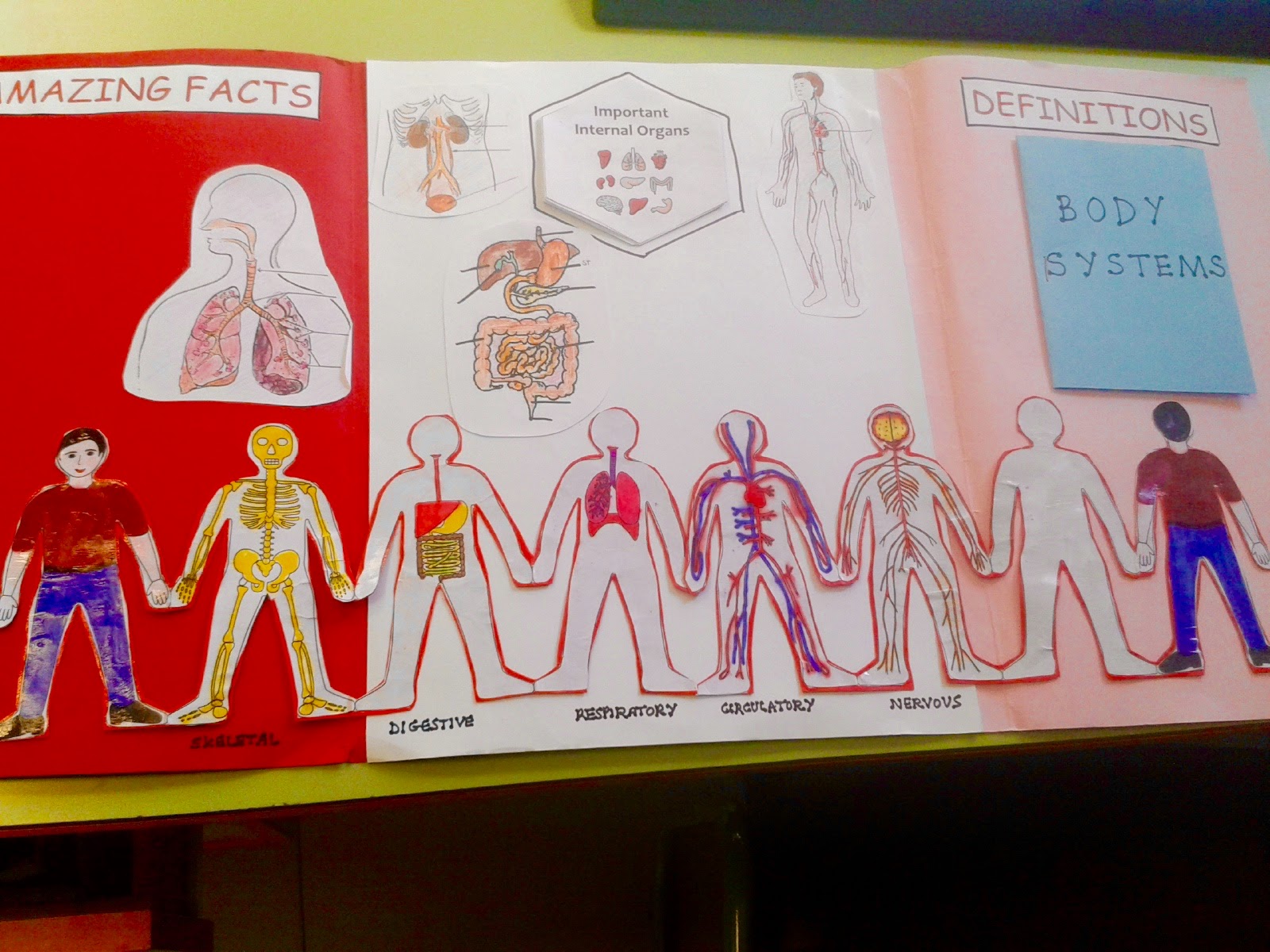 Made in England: Body Systems Lapbook
