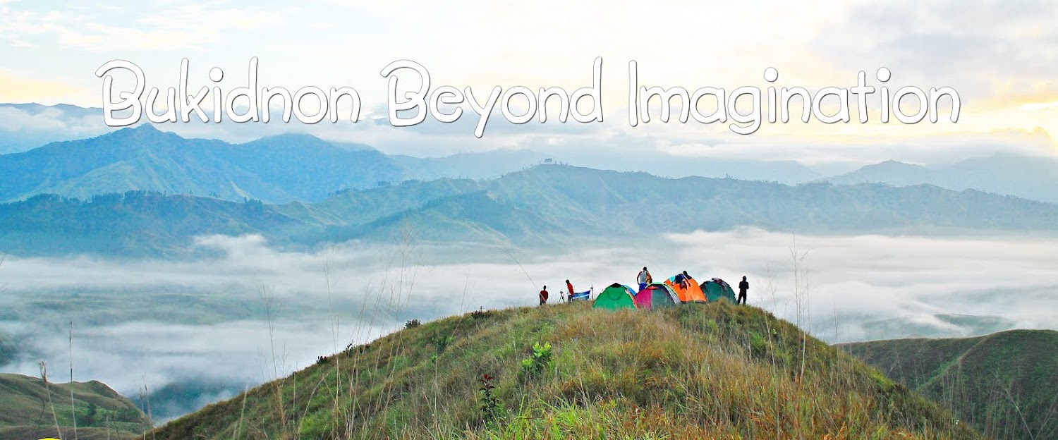 BUKIDNON UNLIMITED: TOURIST SPOTS IN BUGWAK, DANGCAGAN