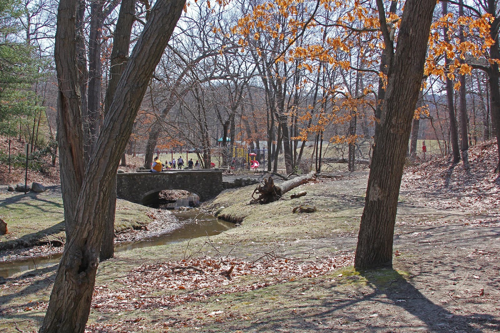 Waterbury Thoughts: Hamilton Park