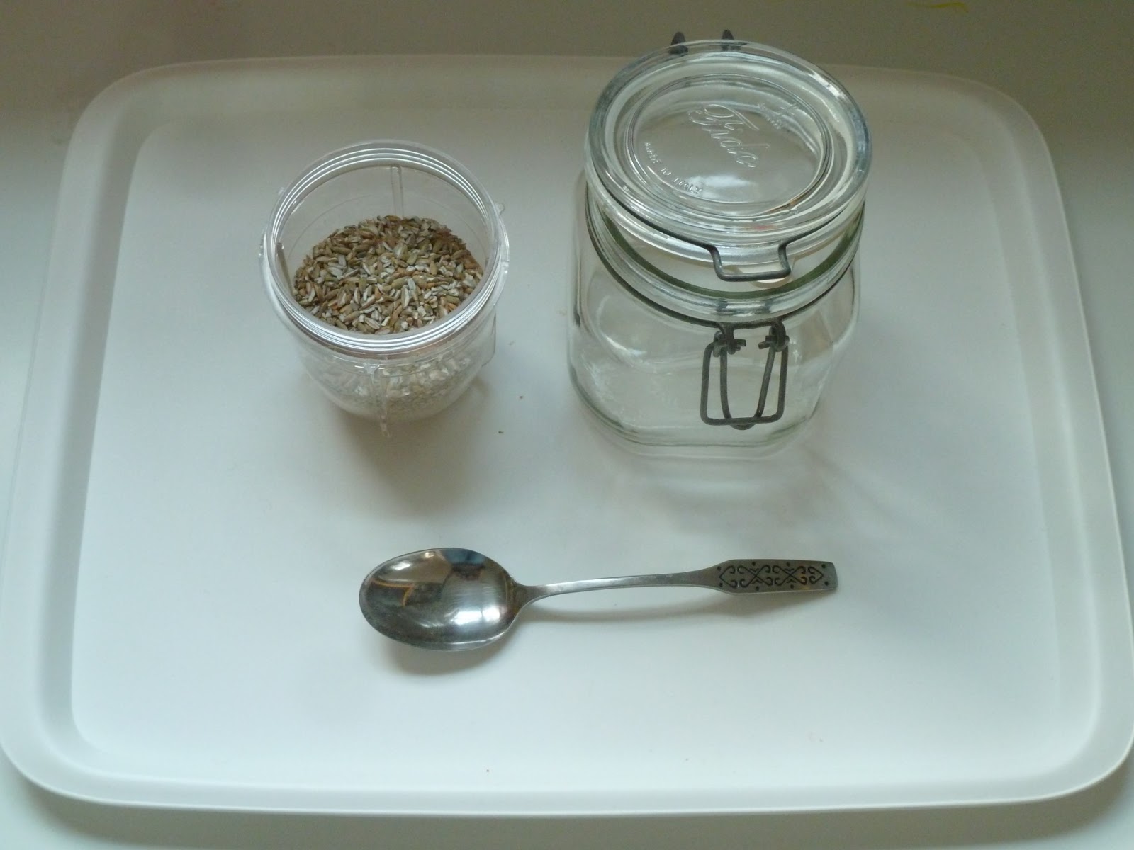 Family FECS: Montessori Activity: Transferring Rye Grains