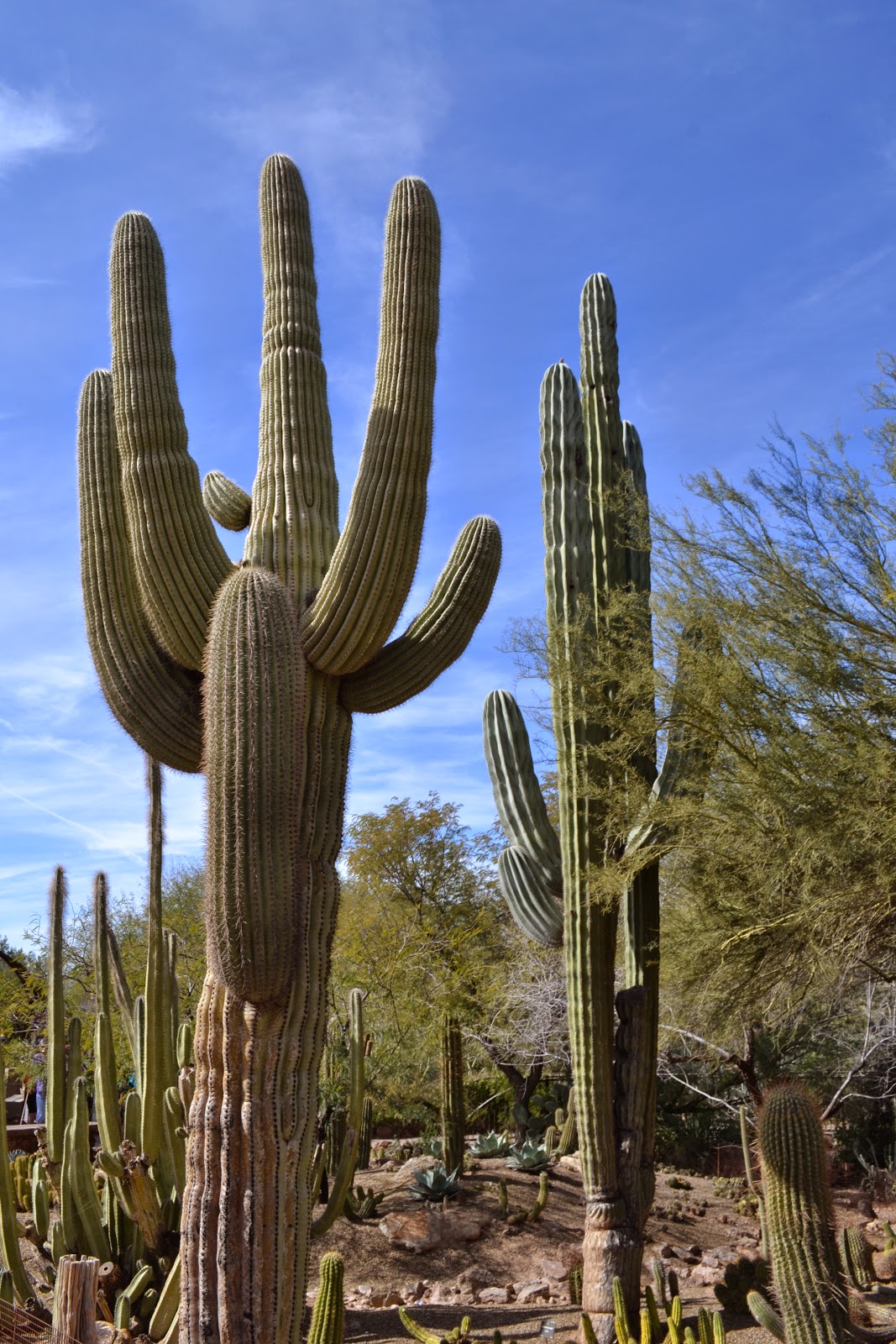 Phoenix Girls Trip Weekend - LaForce Be With You