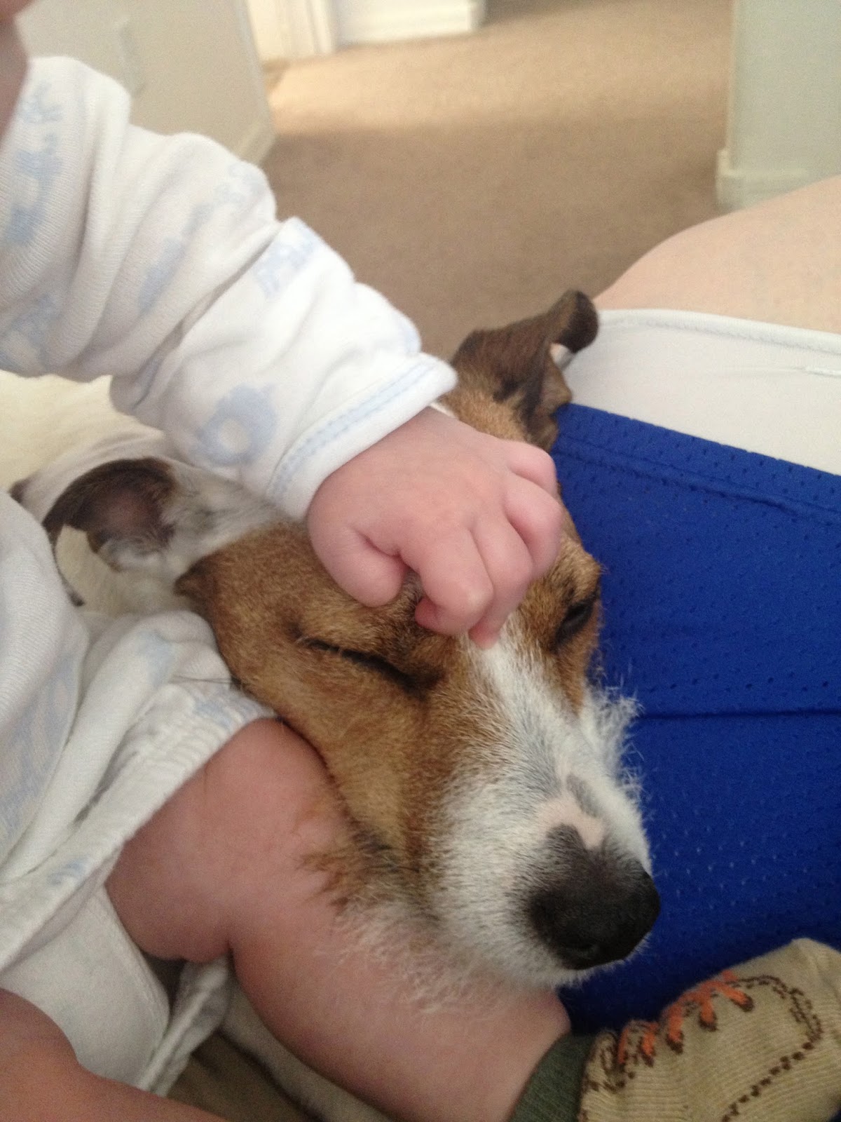 Sam & Ash: Boy Meets Dog