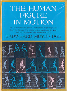 Research of Artistic Anatomy: Reference: Eadweard Muybridge “THE HUMAN ...