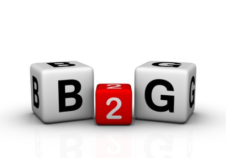 2.2.3 Negocio a Gobierno (B2G, Business to Government)