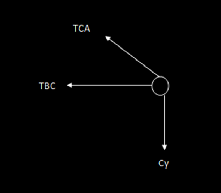 Análisis Estructural: Método de nodos, barras y apoyos.