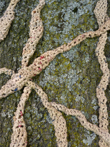 Barbara De Pirro 'biomimicry': 'roots & vines', Bellevue