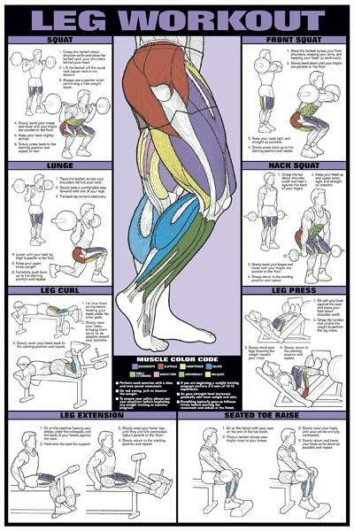 My Protein Shop: Leg Workout