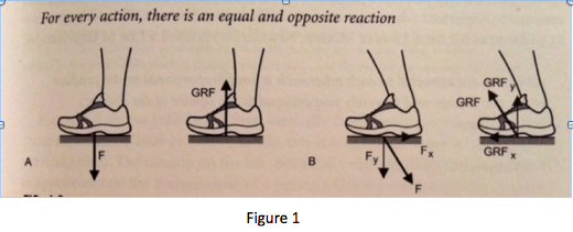 What biomechanical principles affect the distance achieved in an AFL ...