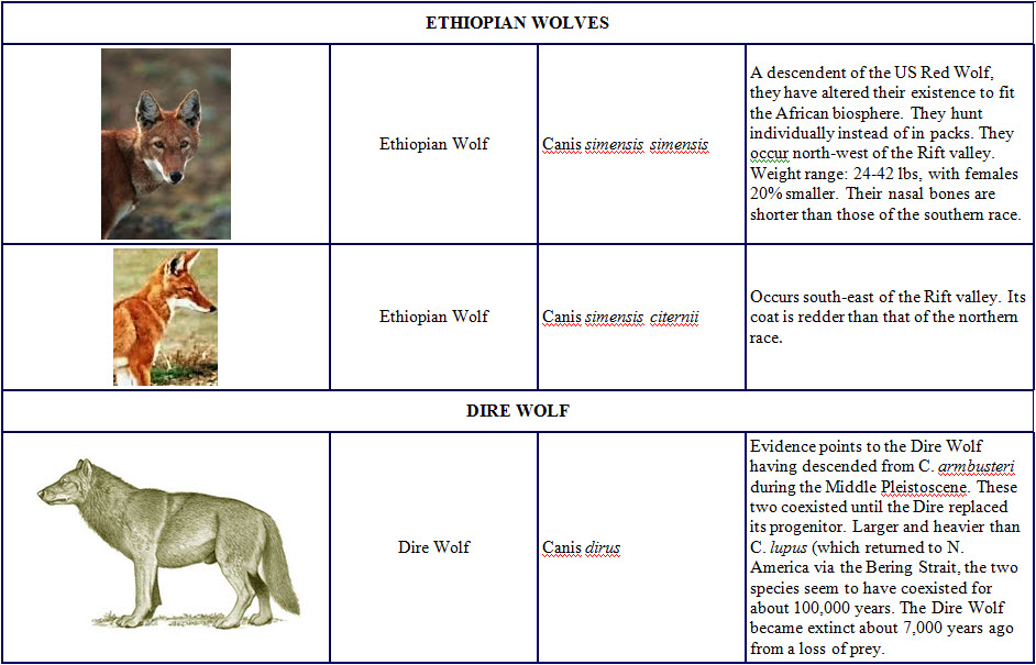 Canis lupus 101: Wolf Species