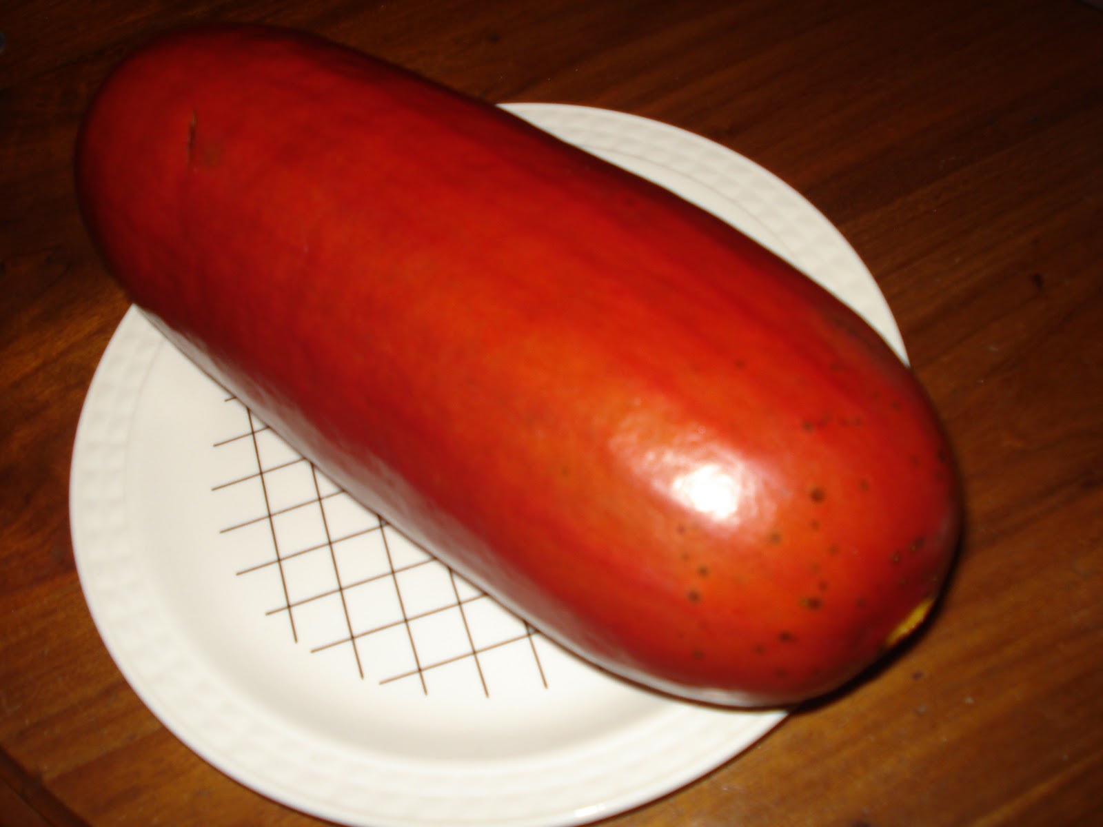 Finca Hierbaroma: Conserva de Cohombro