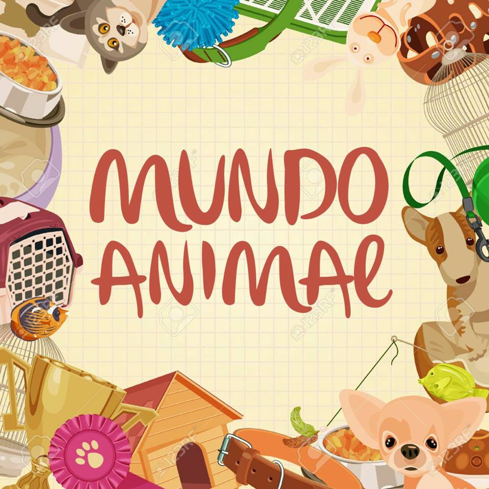MUNDO ANIMAL