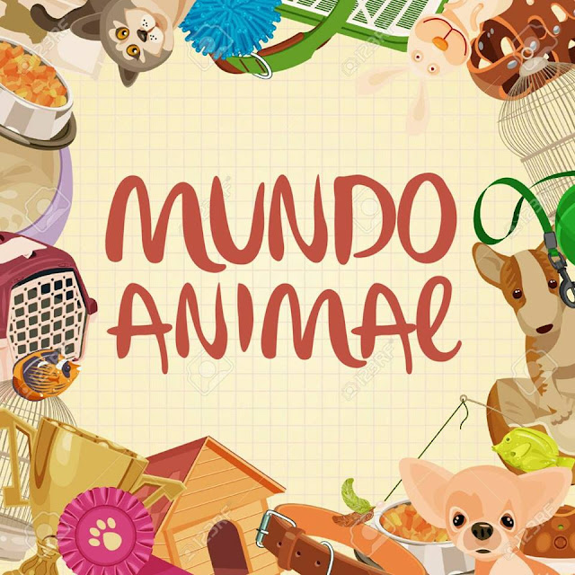 MUNDO ANIMAL