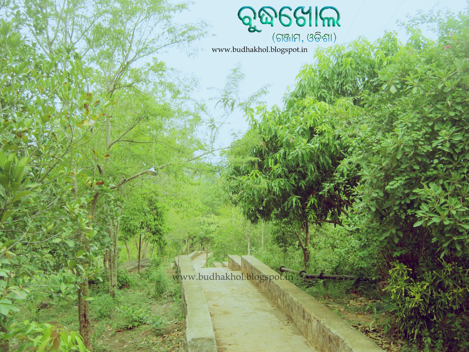 Steps Leading Up to BUDHAKHOLA Panchu Mahadeva Temple | Buguda | Ganjam ...