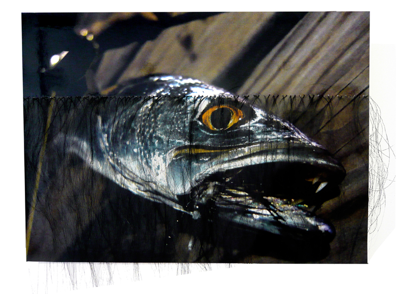 1011: La trahison des images