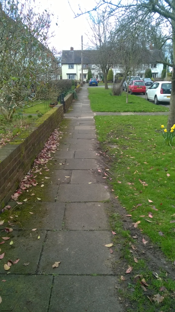 Cllr Craig Browne (Alderley Edge WARD): BEECH CLOSE FOOTPATHS