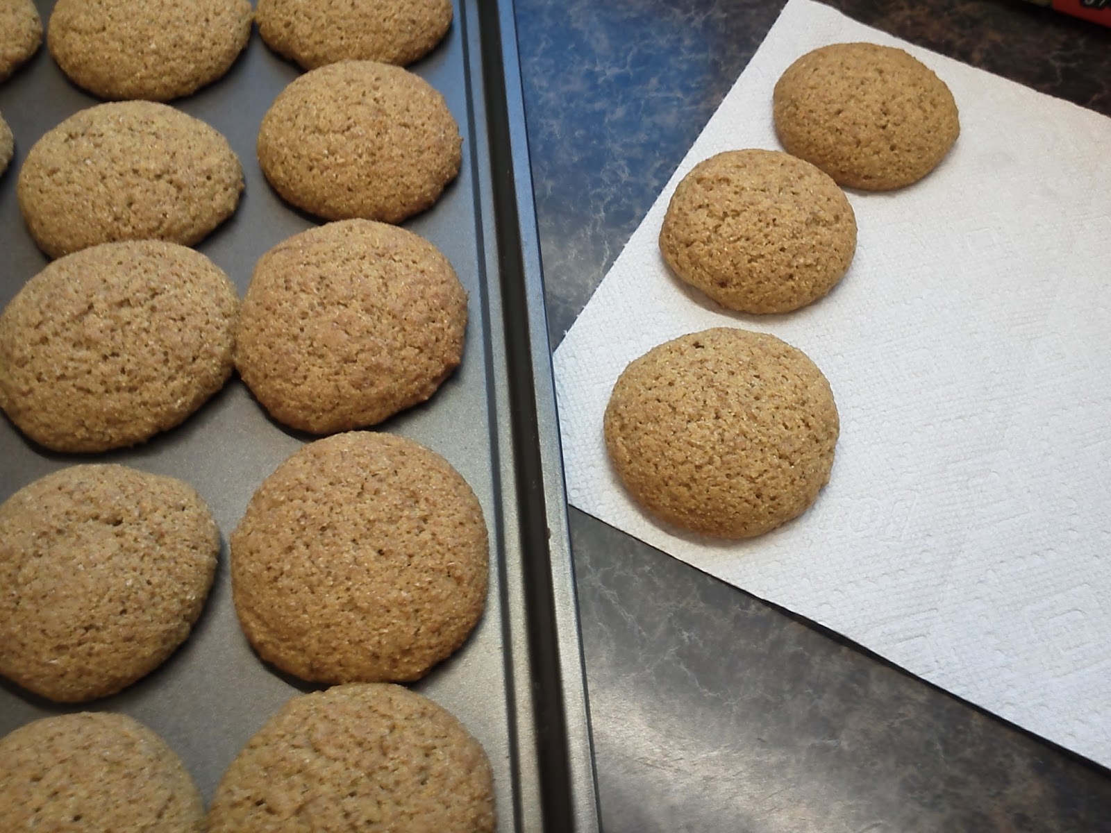 Pocono Pabulum for Mind & Body: November 2013