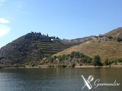 Pipadouro - Douro