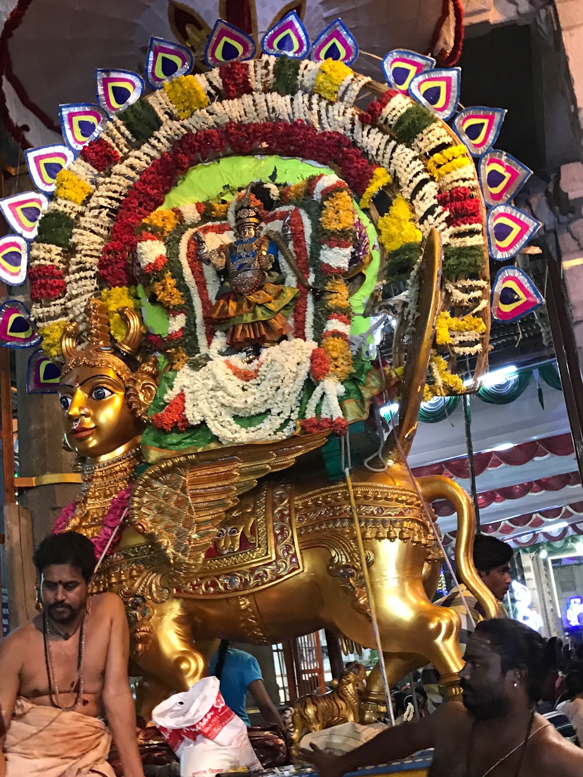 Mylapore Panguni Festival - 2020