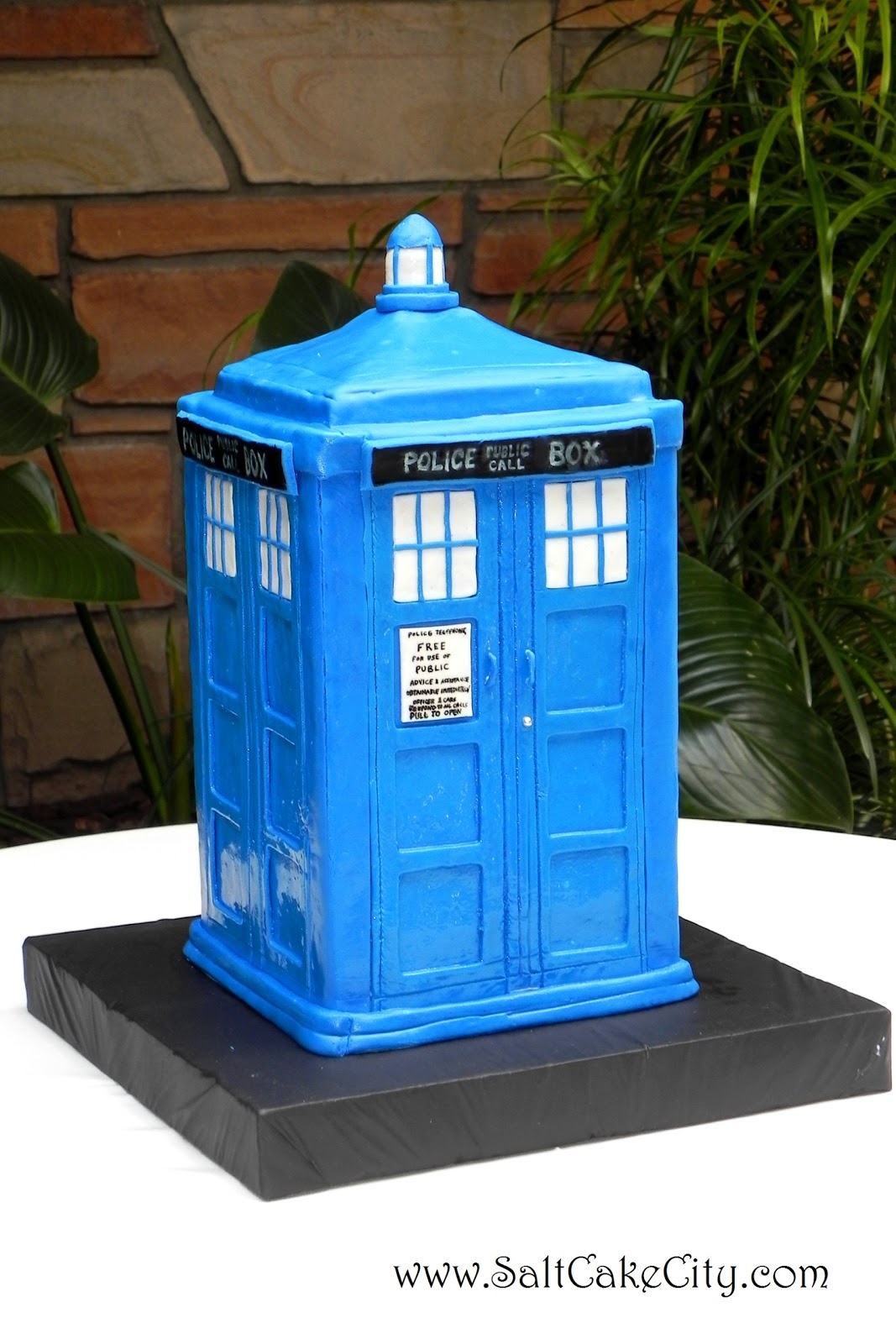 Salt Cake City: Doctor Who Tardis Groom's Cake