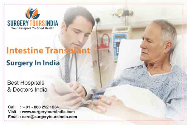 Types of Intestine Transplant Surgery In India - global cancer surgery
