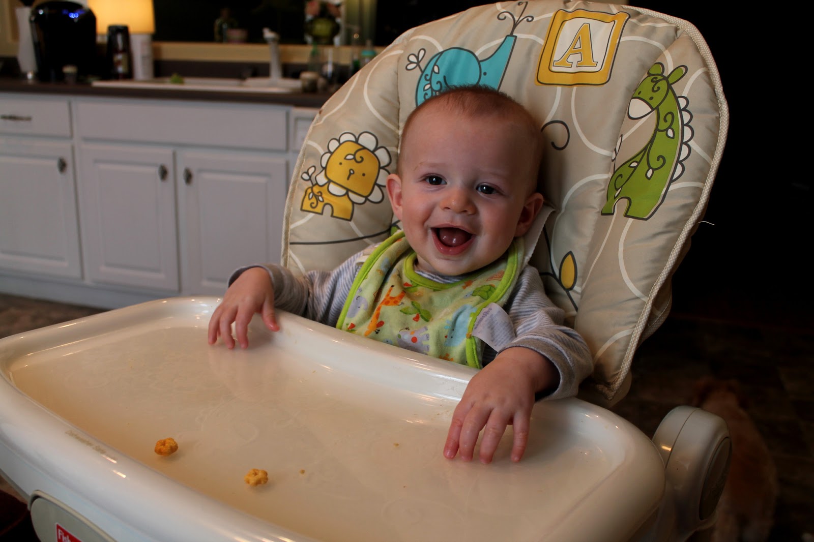 Itty Bitty Blog: Homemade Baby Food