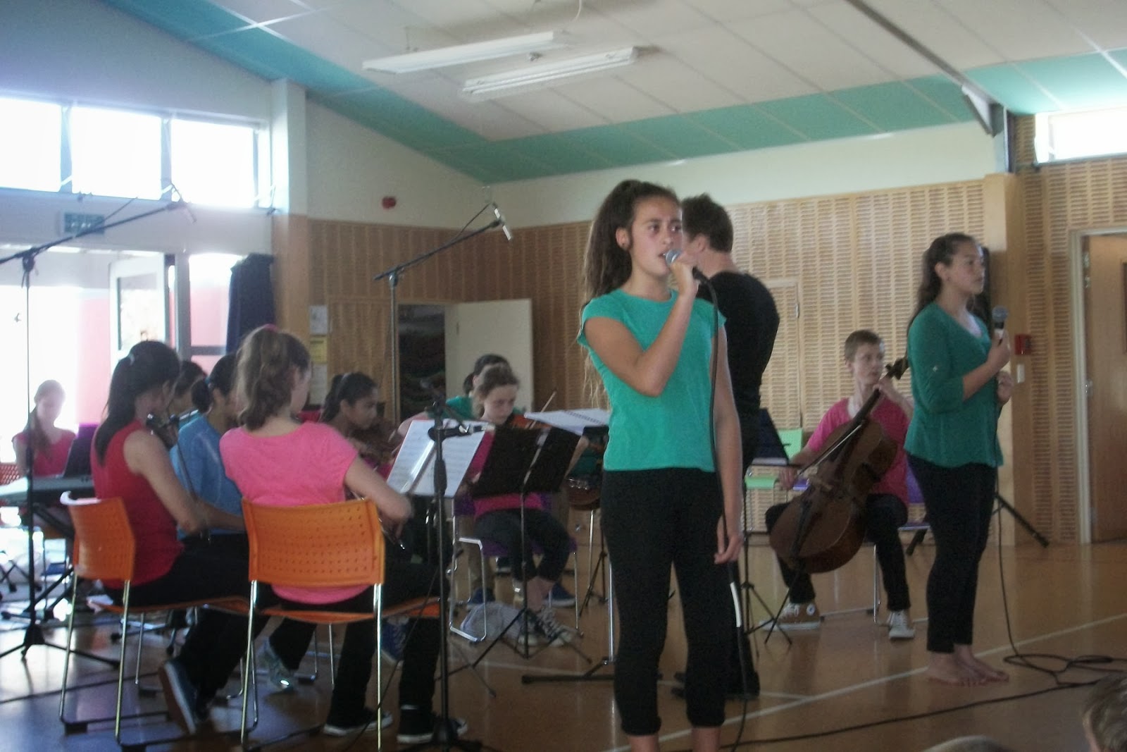 Room 1 Brightwater 2019: Raroa Intermediate's Fabulous Show