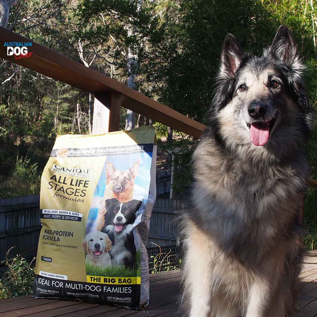 CANIDAE® All Life Stages Dog Food Review | Australian Dog Lover