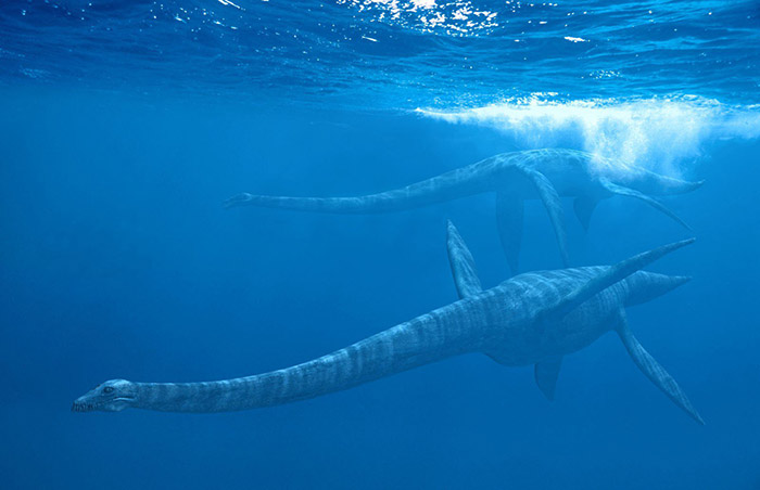 Mundo Pré-Histórico: Elasmossauro, um dos maiores plesiossauros