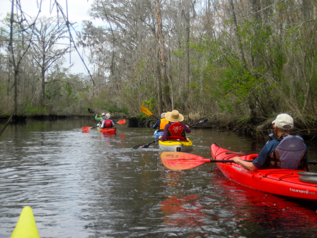 Chuck's Adventures: Kayaking in South Carolina's Low Country: A Road ...