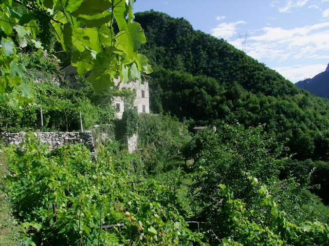 Vivi Valbrenta: Valstagna - 26 maggio - Gita sui terrazzamenti della ...