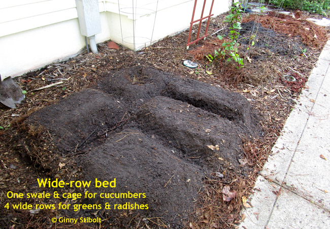 Green Gardening Matters: Wide-row beds and other adventures in fall ...