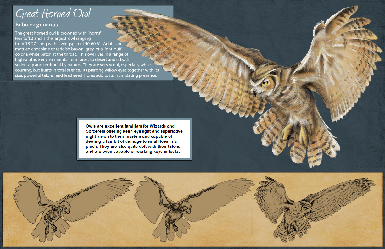 Heroes of Westfell: 02/04/14