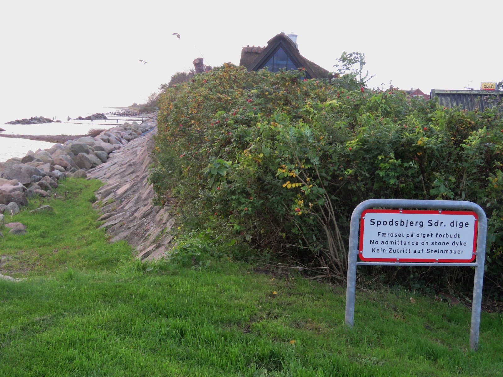 Jespers Blog: A hike from Spodsbjerg to Bagenkop along the coast of ...