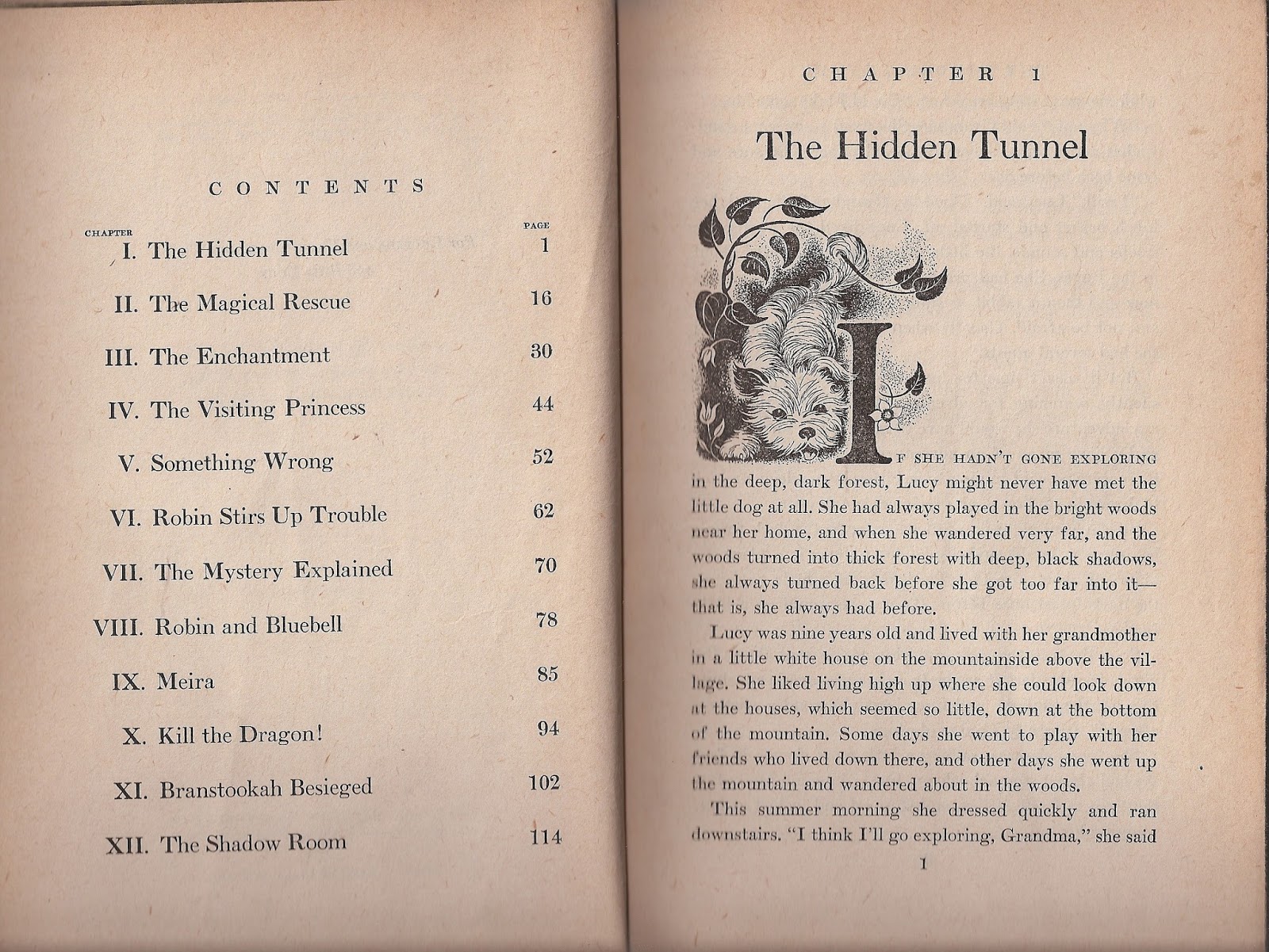 Staircase Wit: Shadow Castle by Marian Cockrell (Book Review)