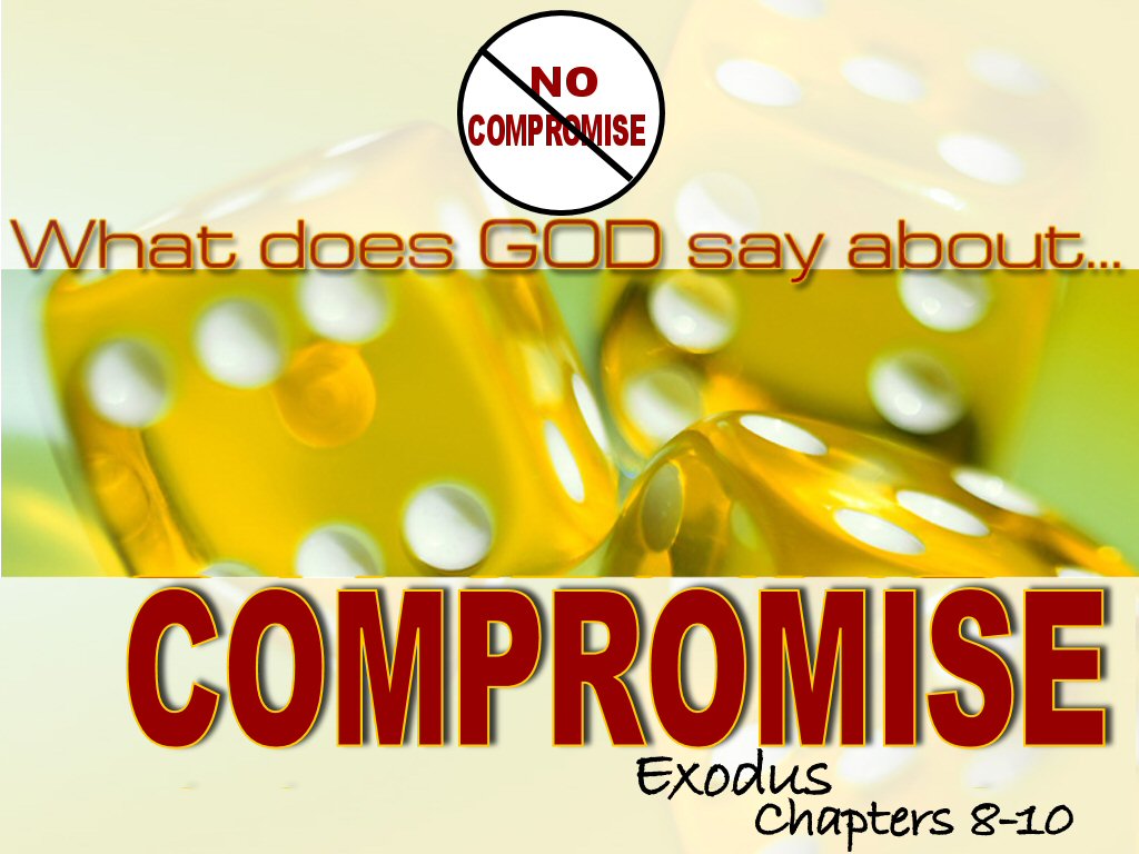 Ok so I don't know what to call this!: No compromise!