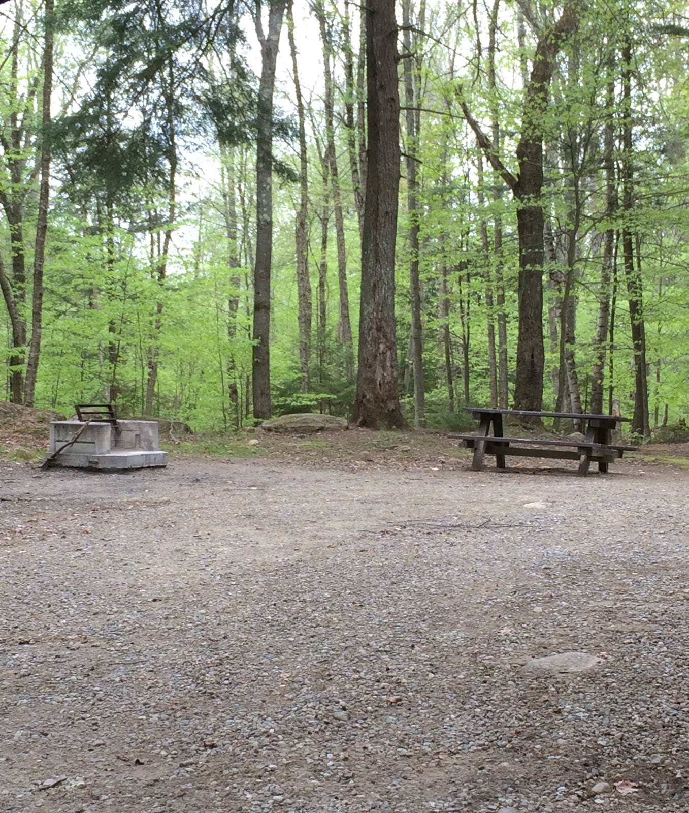 Curious Carrie: Moffitt Beach Campground site review