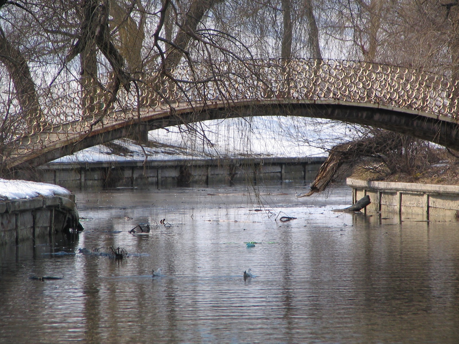 LA MULȚI ANI, ROMÂNIA!: Poduri