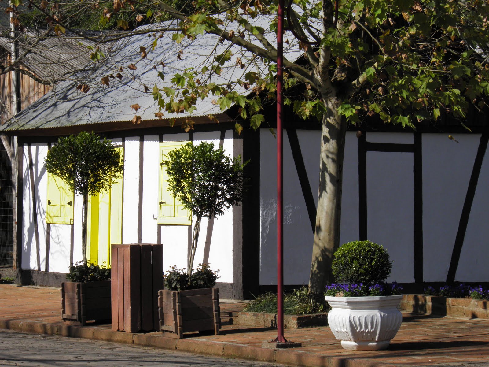 NOSSO OLHAR: Um dia em Ivoti "a Cidade das Flores"/ A day in Ivoti "The ...