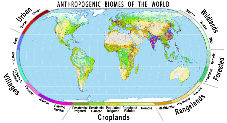 Archive Fever: How Humans Have Reshaped Ecological Process