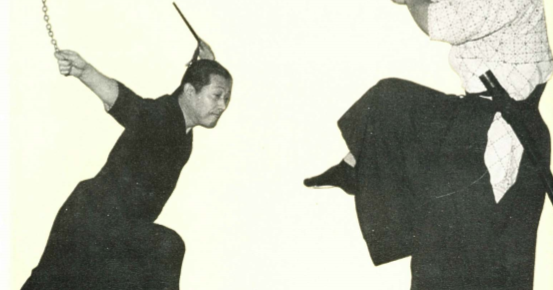 157. SPIKE AND CHAIN - JAPANESE FIGHTING ARTs - TỦ SÁCH VÕ THUẬT 123