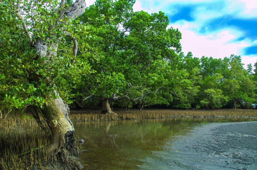 Sarangani, Kawas Beach >>> Lakat