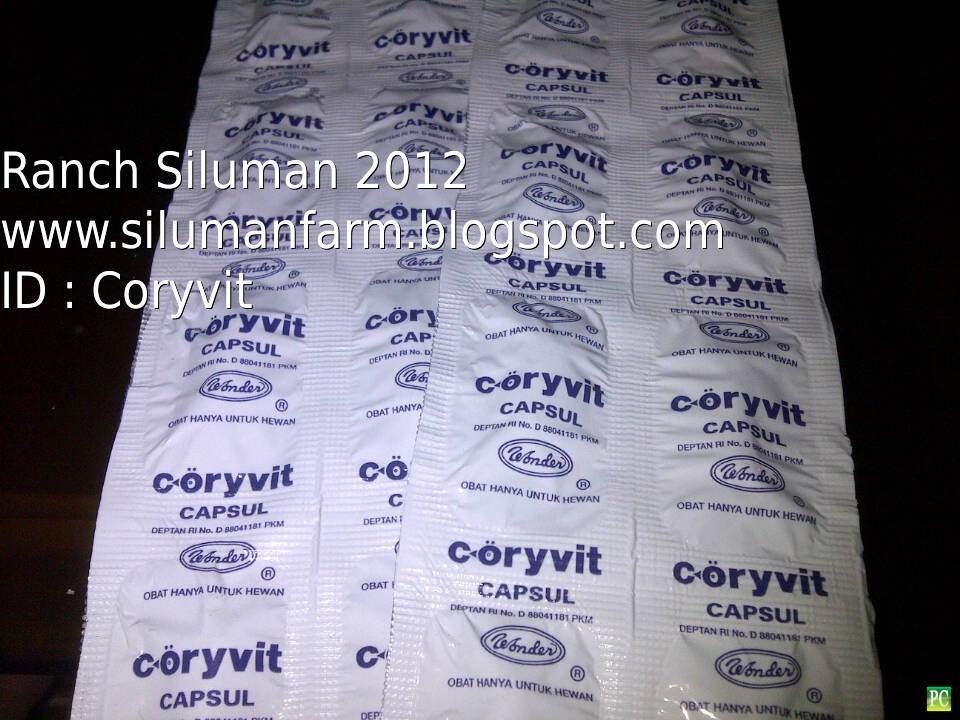 Konsentrasi Kesehatan Hewan: Obat Hewan