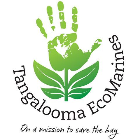 No Impact Girl: Underwater flower children: Moreton Bay's EcoMarines