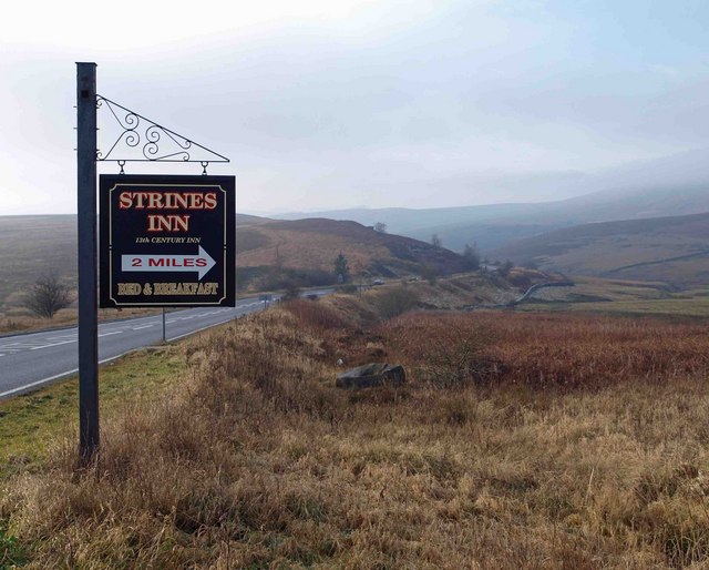 Geoff Nicholson - PSYCHOGOURMET : EAT WITH THE GUITAR MAN