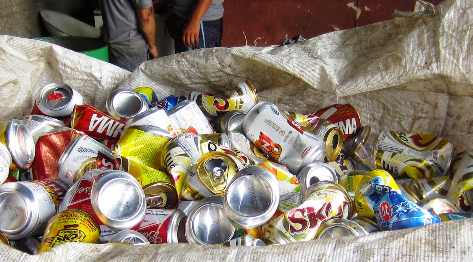 La cultura del reciclaje en Latinoamérica: ¿Cómo se maneja el reciclaje ...