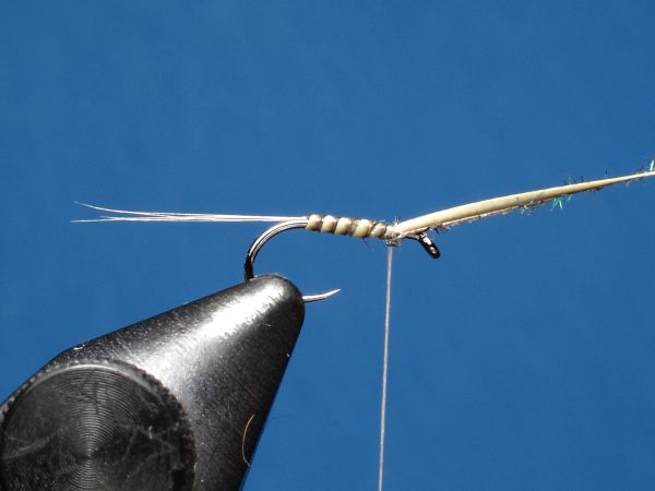 Olive Quill - Step by Step Patterns & Tutorials - Fly Tying