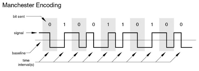 Teknik Pengkodean (Encoding)
