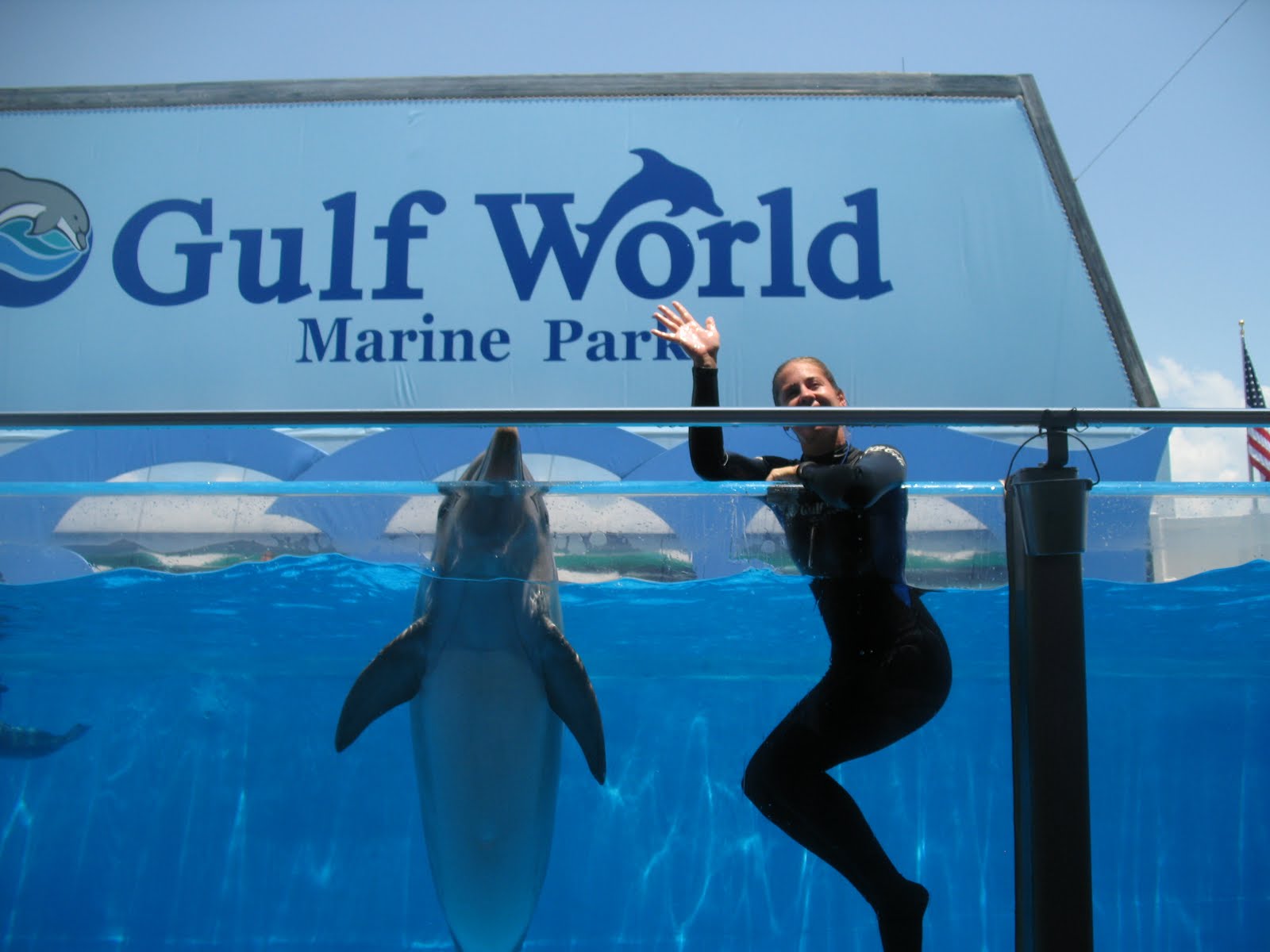 Victoria's Blessings: Gulf World Marine Park